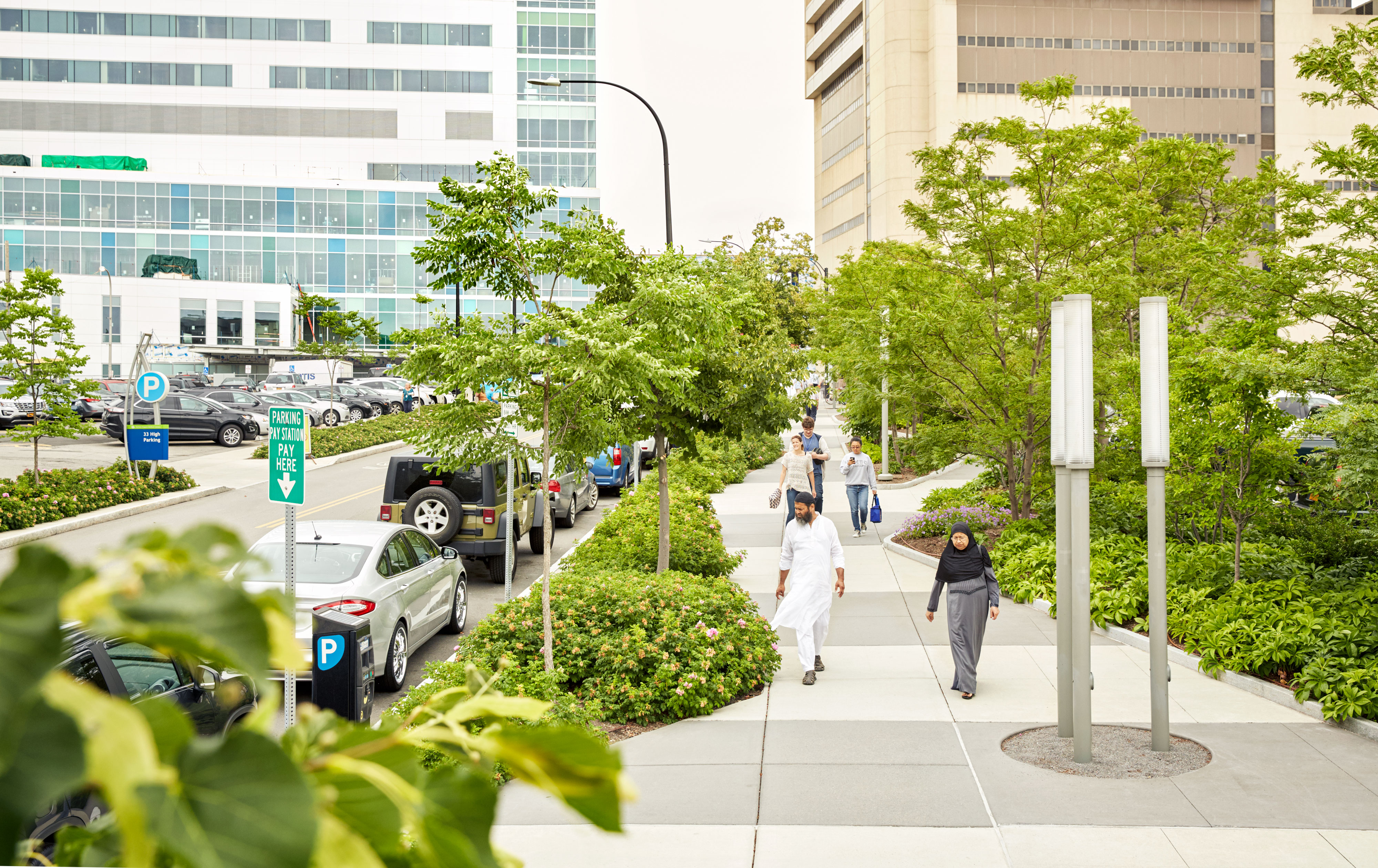 Creating a linear forest-in-the-city to combat urban heat island effect ...