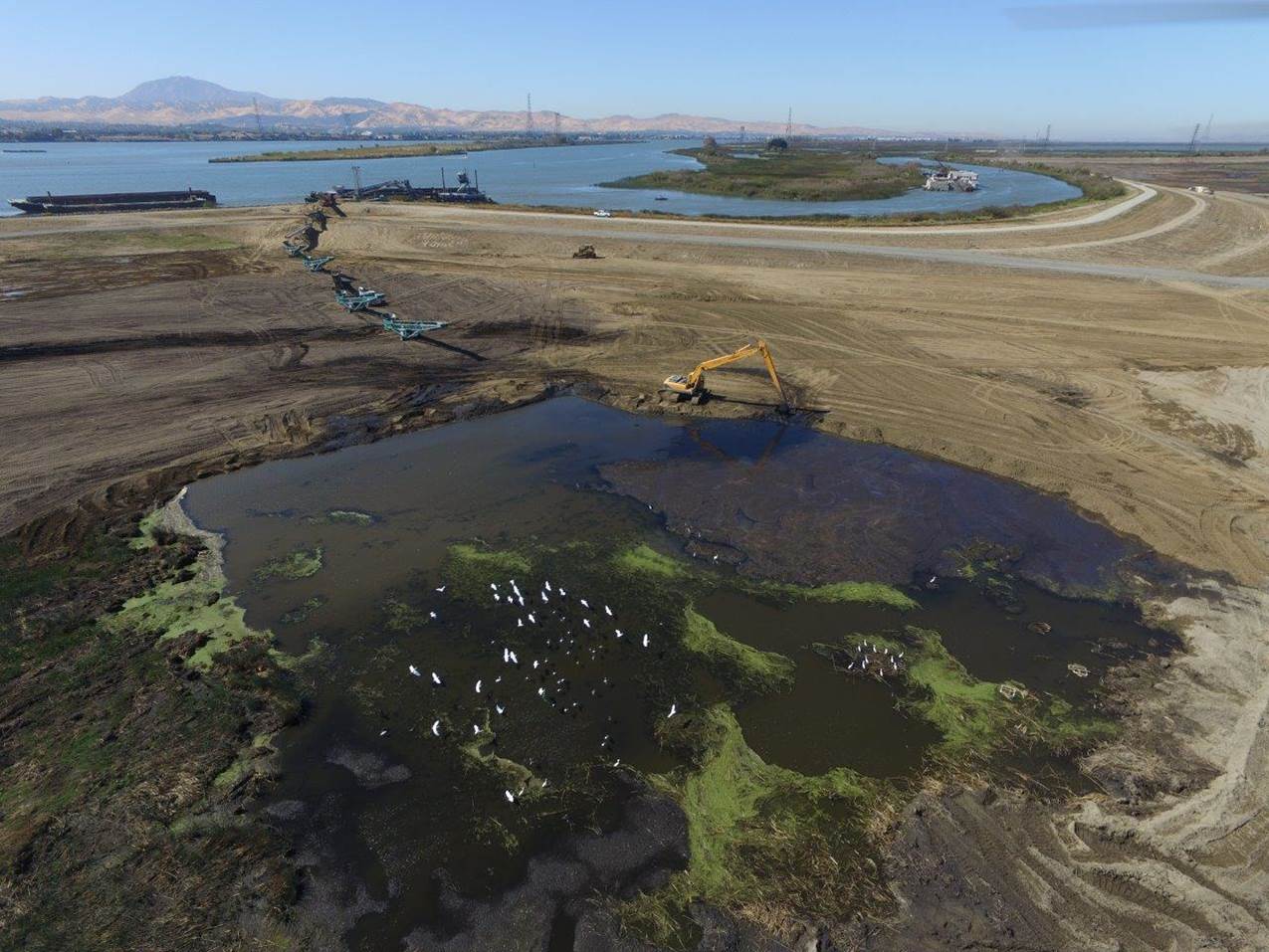 Sherman Island 600 Acre Wetland Restoration To Improve Water Quality